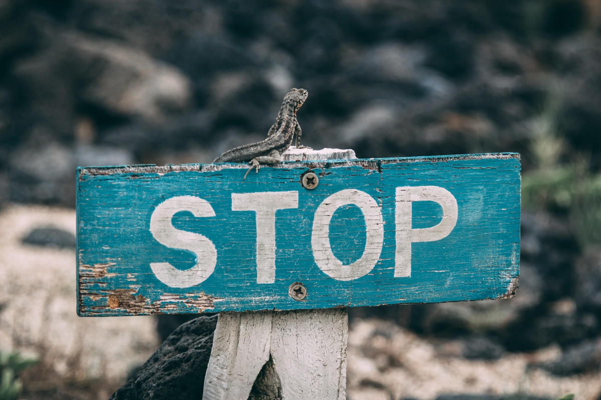 10 Common Mistakes Etsy Newbies Make - eRank Help 10 Common Mistakes Etsy Newbies Make - eRank Help