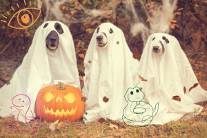 POD Trends for This Spooky Season - eRank Help